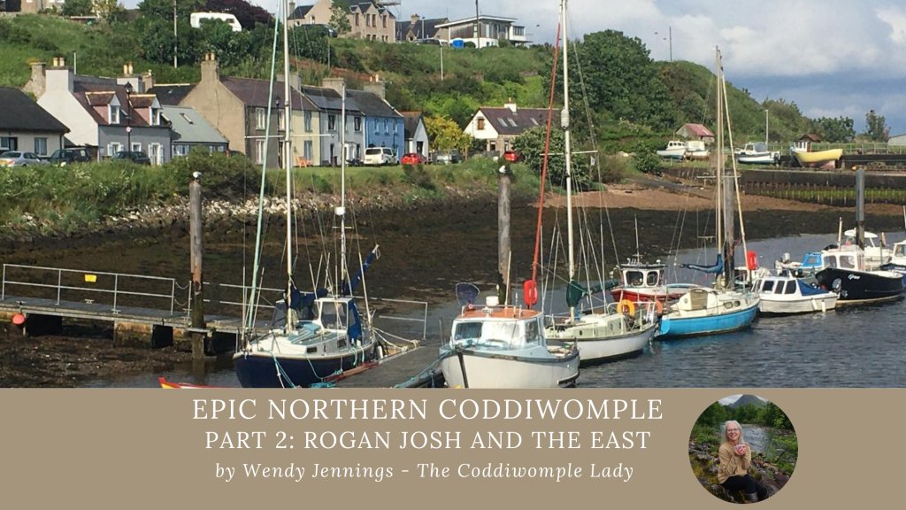 Epic Northern Coddiwomple 2024 Part 2: Rogan Josh and a taste of the ...